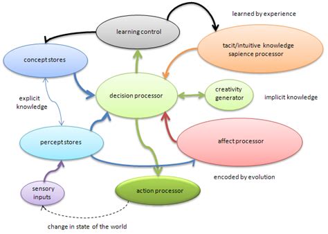 Question Everything Sapience Relationship With Cleverness