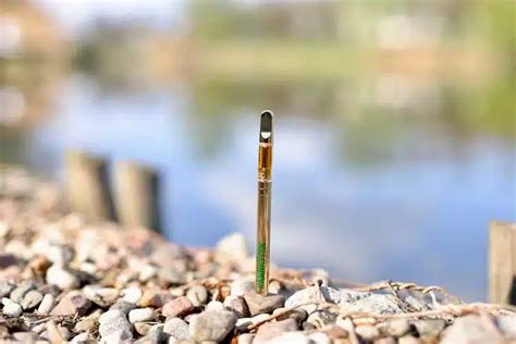 Cannabis Vape Pen Benefits And Risks Kannastar Brands