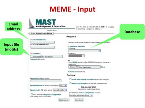 ppt multiple sequence alignments and motif discovery powerpoint