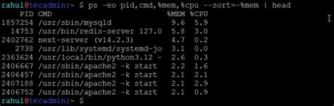Top 10 Memory Hungry Processes In Linux How To Find Them