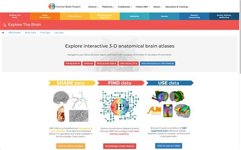 Neuroinformatics Platform