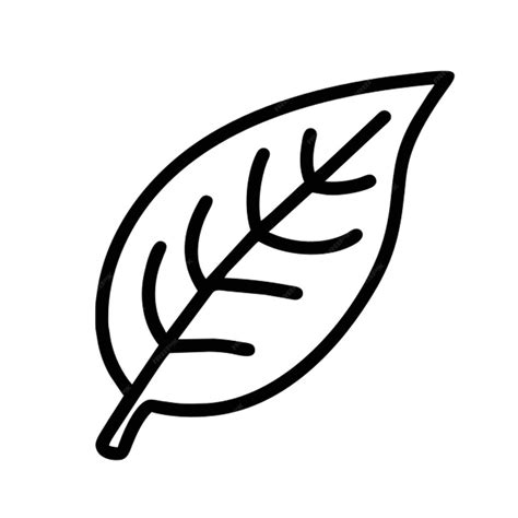 Premium Vector Leaf Icon Outline