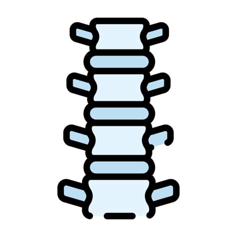 Spine Good Ware Lineal Color Icon