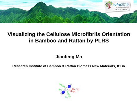 Pdf Visualizing The Cellulose Microfibrils Orientation In