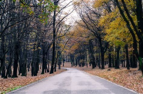 How To Recreate The Orton Effect In Photoshop To Get Dreamy Landscape Photos