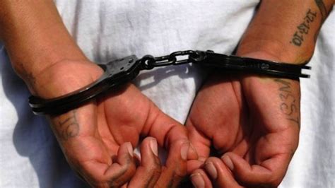 Германските и българските власти разбиха престъпна група за фалшиви документи Новини бг