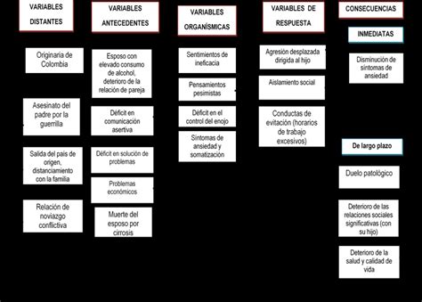 Mapa Clínico De Patogénesis De La Madre Download Scientific Diagram