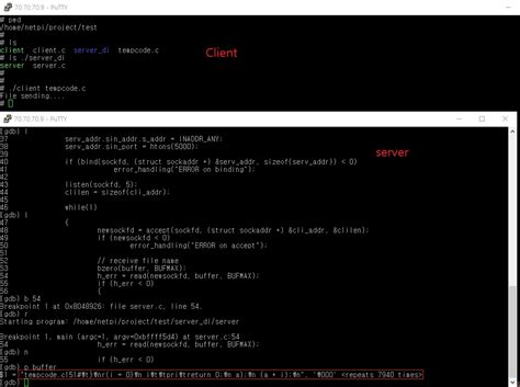 C How Can I Solve The Segmentation Fault In Socket Programing Stack Overflow
