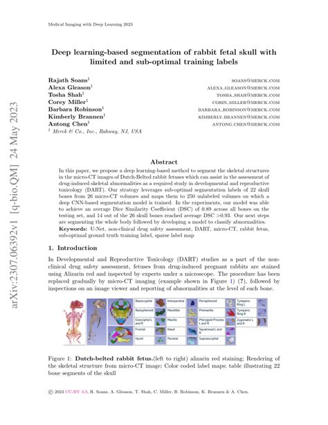Pdf Deep Learning Based Segmentation Of Rabbit Fetal Skull With