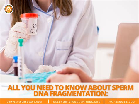 All You Need To Know About Sperm Dna Fragmentation Complete Surrogacy