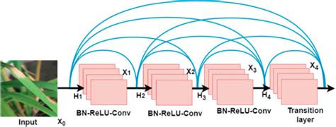 Architecture Of Densenet 201 In Consequence The Network Has Acquired A