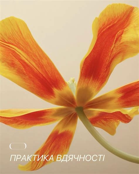 Kooma — твоя віртуальна подруга Kooma Ua • Instagram Photos And Videos