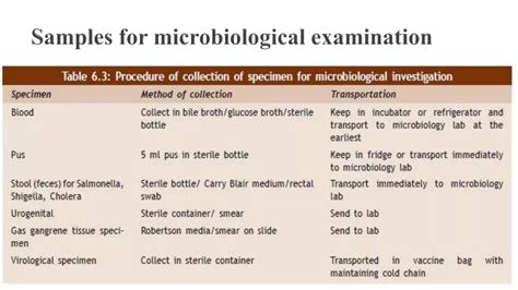 Forensic Sample Collection And Preservationpptx Forensic Sample Collection And Preservationpptx