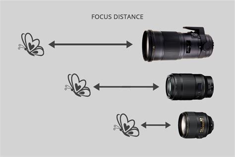 9 Best Macro Lenses For Nikon To Buy In 2025