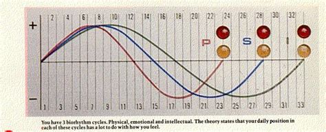 Kosmos 1 Biorhythm Functions