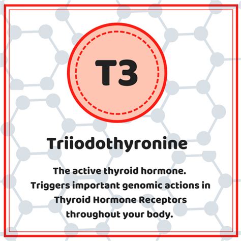 Triiodothyronine Thyroid Patients Canada