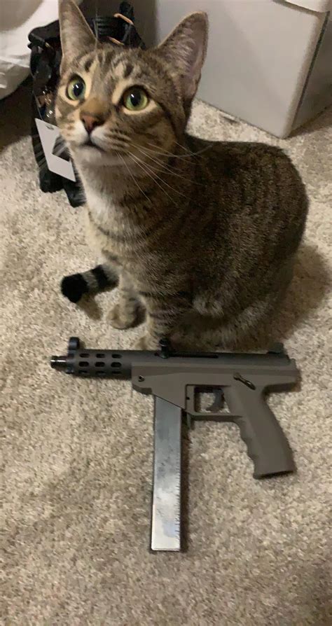 After Downloading Reddit For Tec Information I Figured Id Say Hi Here