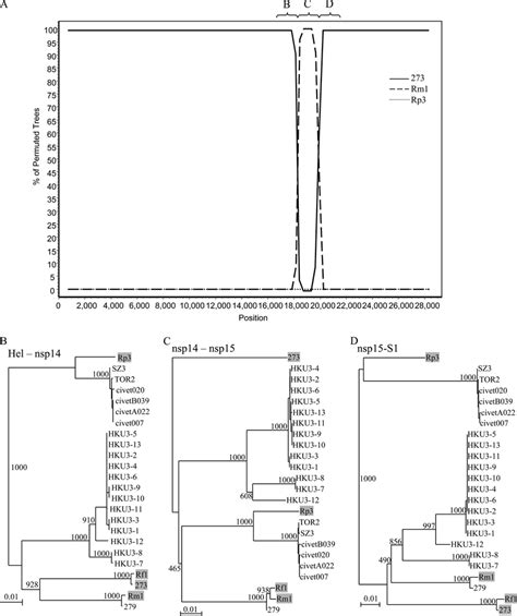 A Bootscan Analysis Using The Genome Sequence Of Sarsr Rh Batcov Download Scientific Diagram