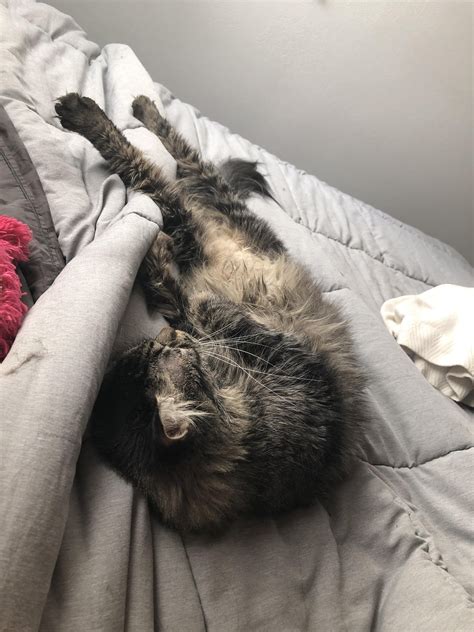Kevin R Straightenedfeetsies