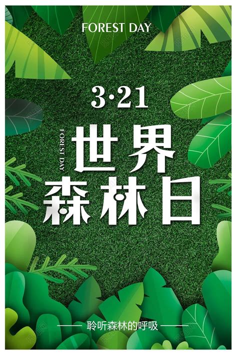 世界森林日丨保护地球之肺，让我们一起 森”呼吸 关注森林