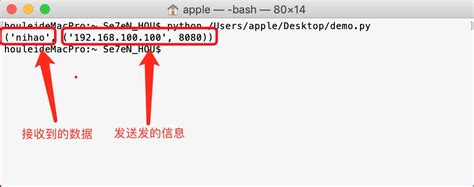 python网络 Socket之udp编程 Se eN HOU 博客园