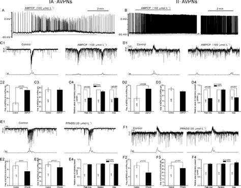 Cd73 Inhibitor Ampcp And P2x Receptor Antagonist Ppads Caused Opposite
