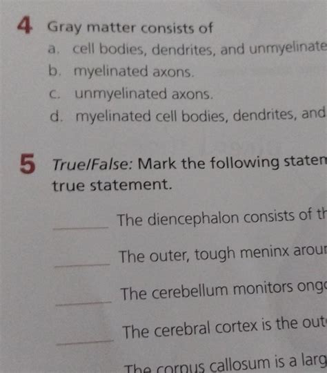 4 Gray Matter Consists Of A Cell Bodies Dendrites
