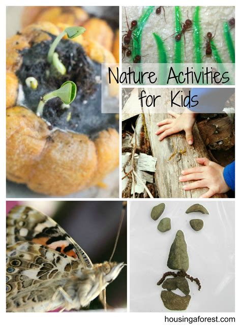 Nature Themed Activities For Preschoolers