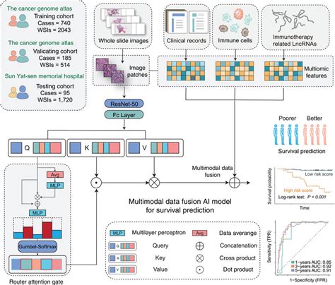Multimodal Data Fusion Ai Model Uncovers Tumor Microenvironment Immunotyping Heterogeneity And