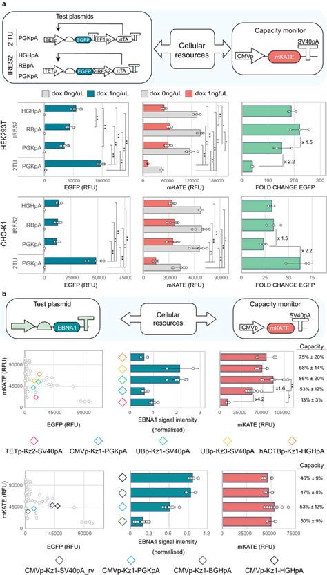 resource aware construct design is useful for optimising genetic download scientific diagram