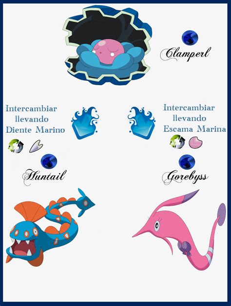 Clamperl Evolution 177 Clamperl Evoluciones By Maxconnery On Deviantart Todayscenter