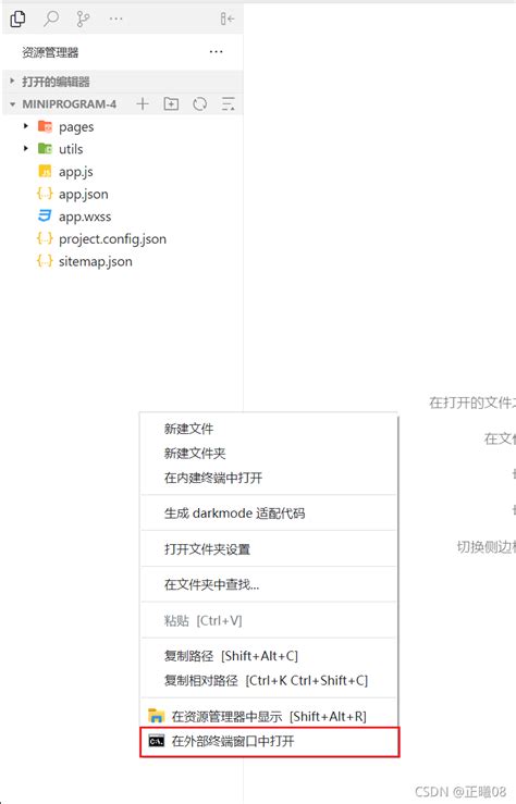 微信小程序添加npm模块 packnpmrelationlist csdn博客