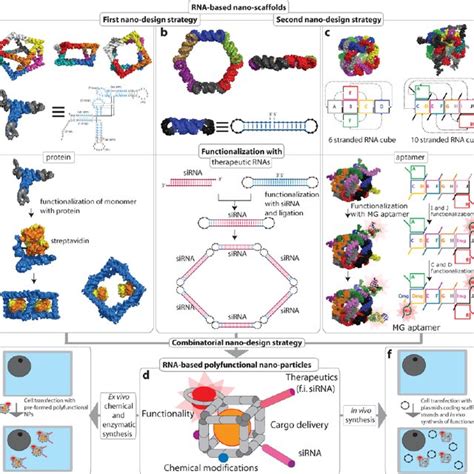 Pdf Complementary Strategies For Efficient Design And Synthesis Of 3d Self Assembling Rna Nano