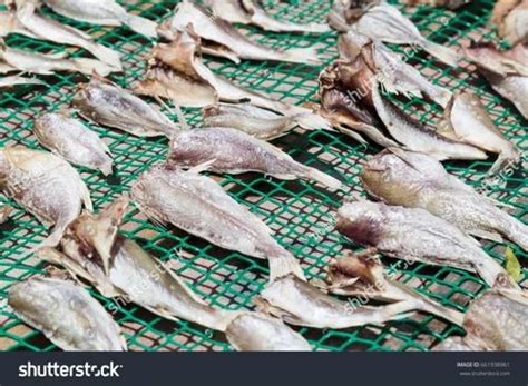 Fish Preservative Packaging Size 1kg At Rs 500kg In Mumbai Id