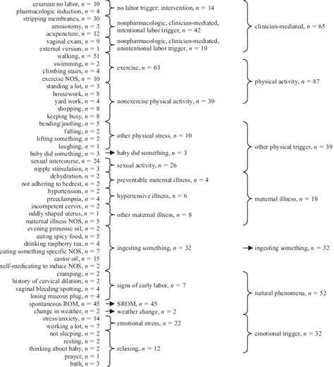 Categorization Scheme For Free Text Responses To The Question Did