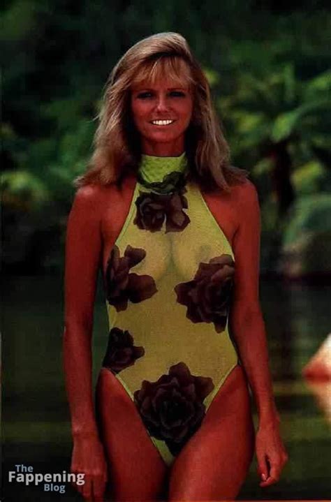 Cheryl Tiegs Nude Leaks Photo 4 Thefappening