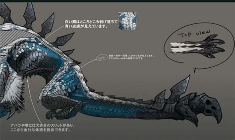 Skin Of Morudomunto Draghi