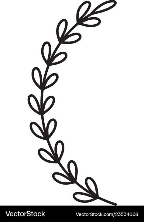 Leaves Branch Decorative Royalty Free Vector Image