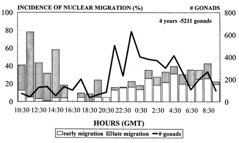 Incidence Of Appearance Of Nuclear Migration Stages Early Migration