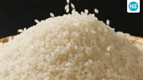 Is Shirataki Rice Beneficial For Weight Loss A Close Look At This
