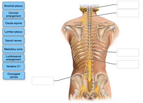 M13 Practice Assignment Flashcards Quizlet
