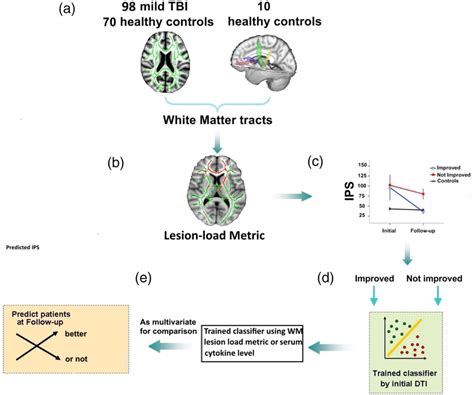 Of Methods A Skeletonized Diffusion Metric For White Matter Tracts