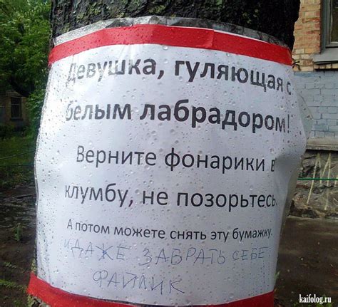 Картинки Приколы С Надписями Лучшая Фото Подборка