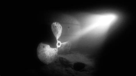 Untitled Chipmonk Flickr