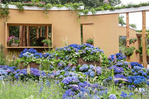 2023粤港澳大湾区花展图片浏览 2023粤港澳大湾区花展图片下载 酷吧图库