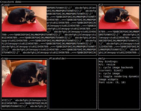 Ratatui Image — Rust Utility Librs
