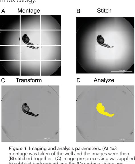 Figure From Automated Image Screening Of Zebrafish Embryos Exposed To Developmental Toxins