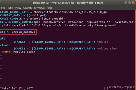 Linux驱动模块之带参数的驱动模块linux 驱动 参数 Csdn博客
