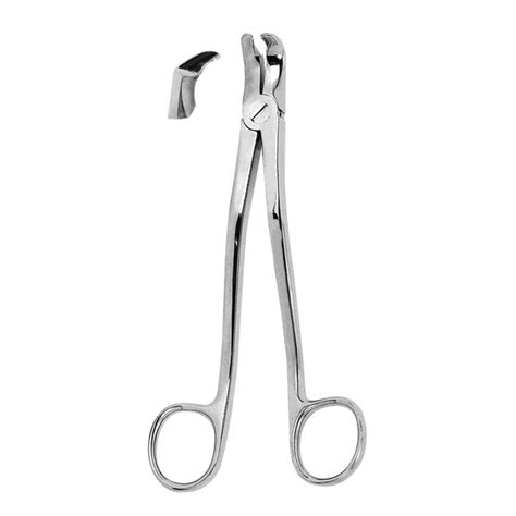 Extracting Forcep Surgical Region