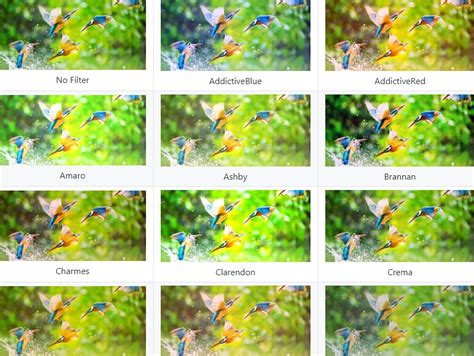 Photo Filters Package For Flutter
